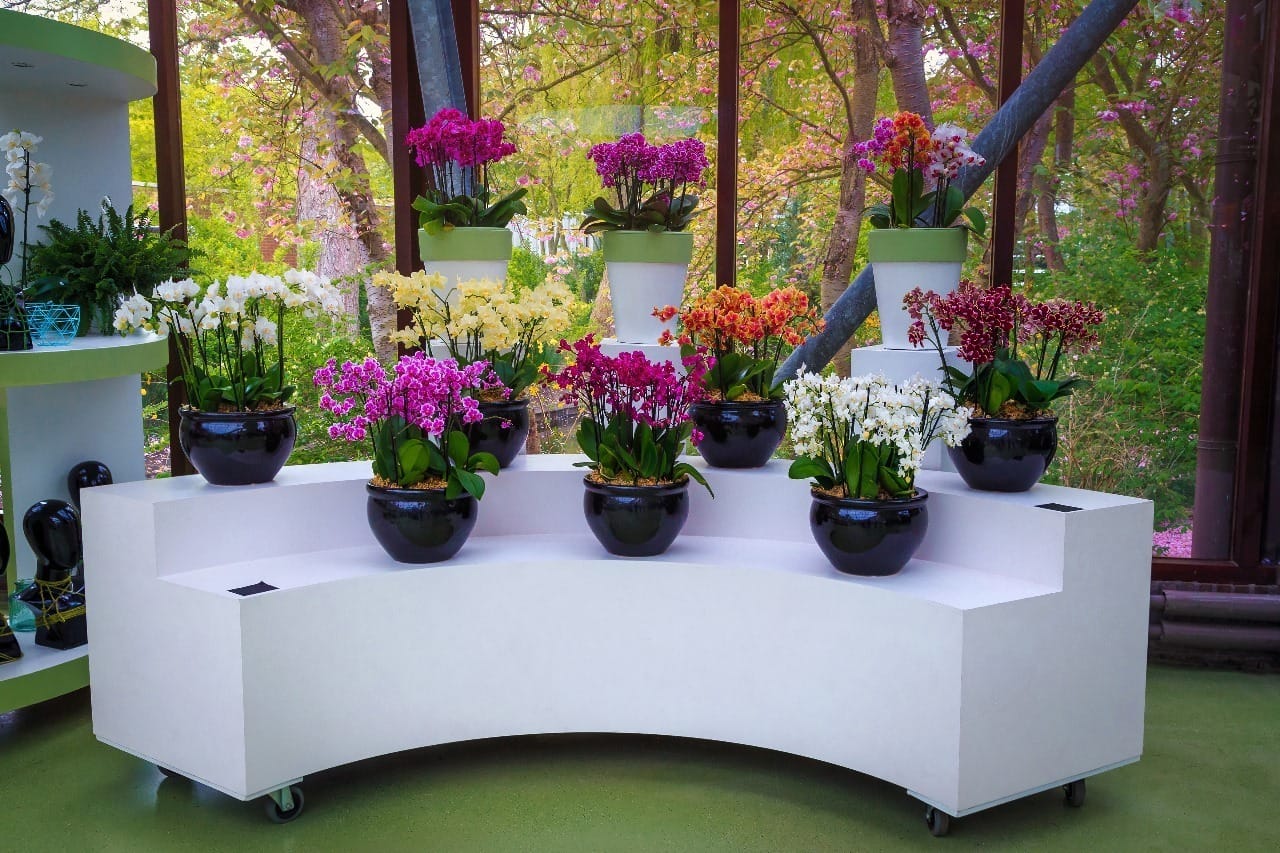 Expo Polipet Flora: Um Festival de Cores e Fragrâncias!