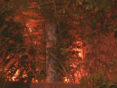 Queimadas em SP: governo libera R$ 10 milhões para ações da Defesa ...
