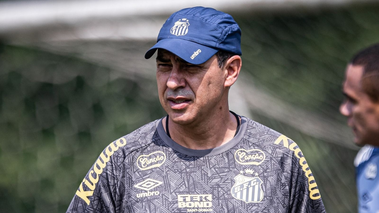 Entenda por que Fábio Carille foi demitido do Santos mesmo após título ...