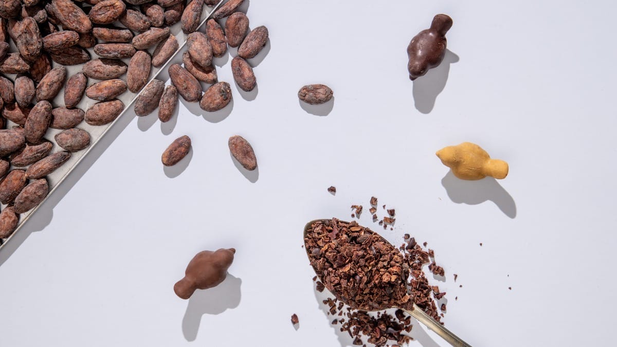 Chocolate bean to bar: o que é? Como é feito? Chef confeiteira explica