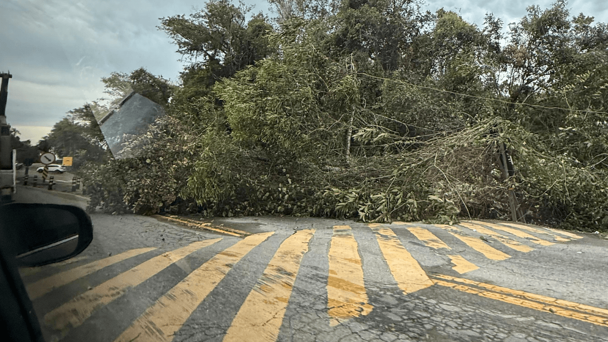 Vídeo: Fortes rajadas de vento são registradas em cidades do Litoral ...