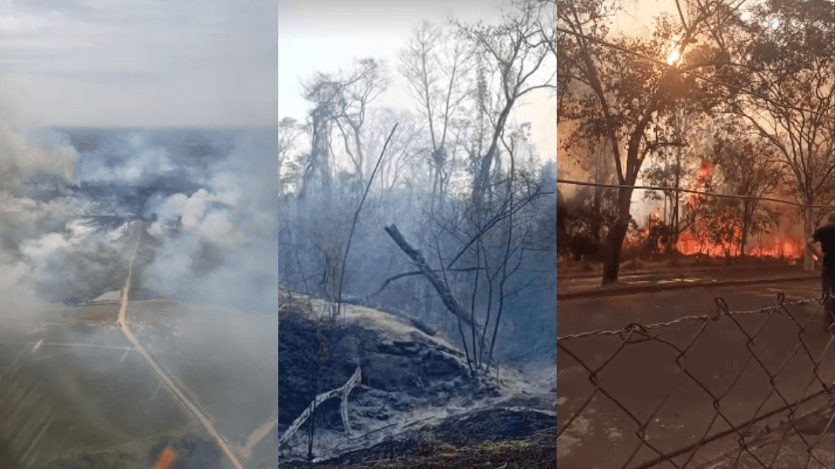 Fim de semana registra seis incêndios em cidades das regiões de ...