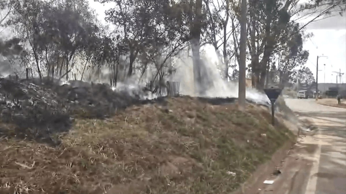 Queimadas se intensificam nas rodovias de Minas Gerais