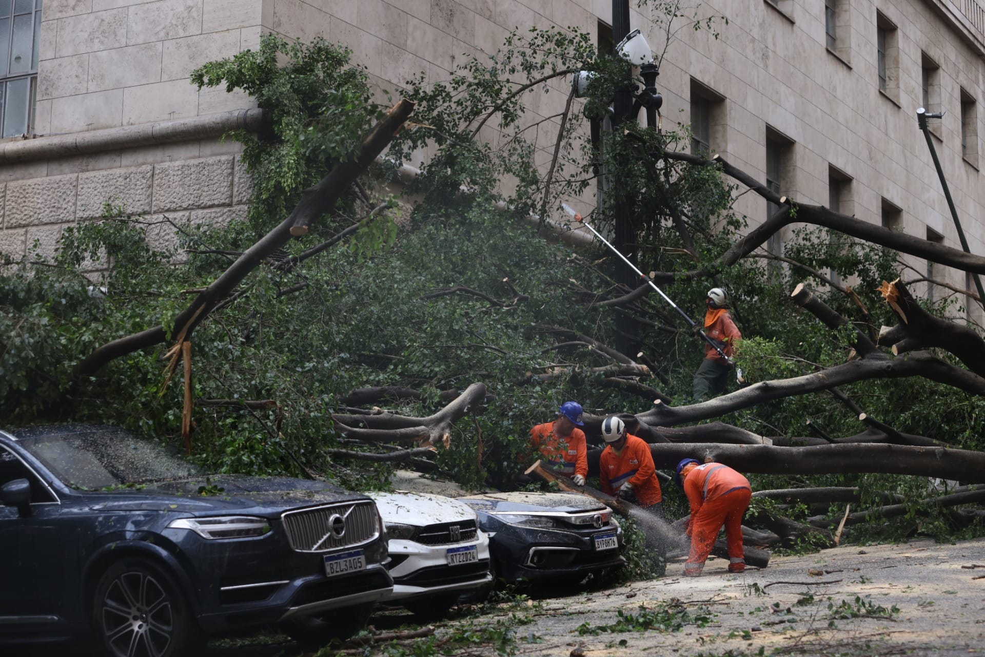 Temporal e vendavais deixam rastro de destruição em São Paulo