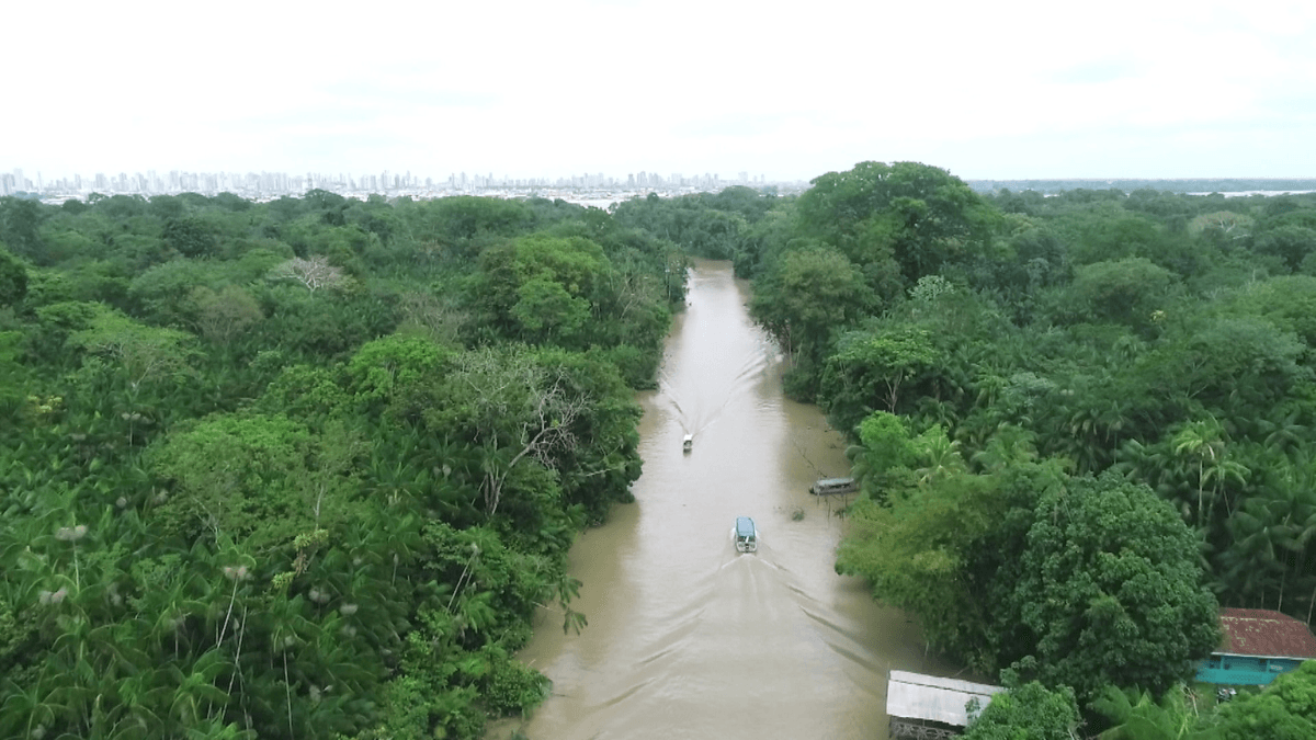 Ilha do Combu atrai estrangeiros da COP30 com fábrica de chocolate