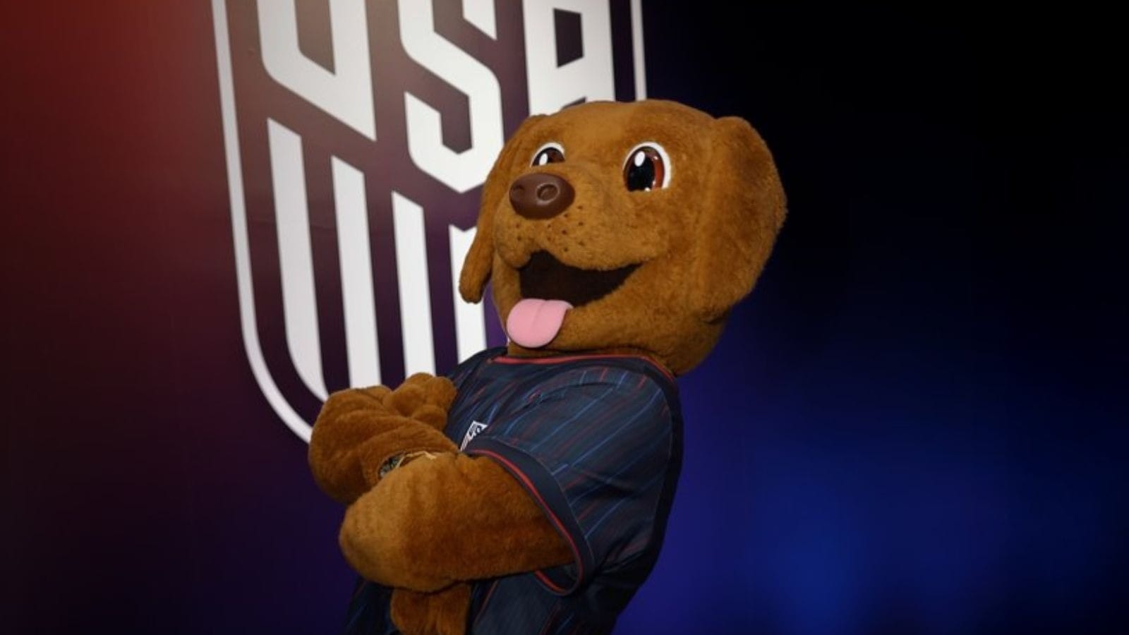 Seleção dos Estados Unidos anuncia novo mascote; confira