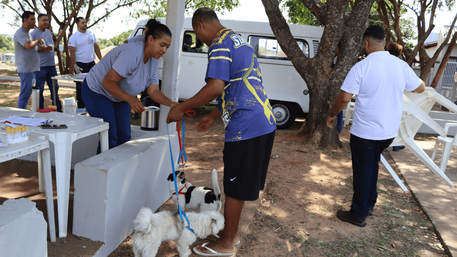 UVZ promove último plantão do ano para vacinação e testagem de pets