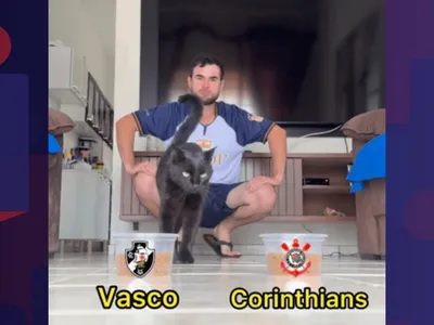 Gato vidente aposta no Vasco na final da Copa do Brasil