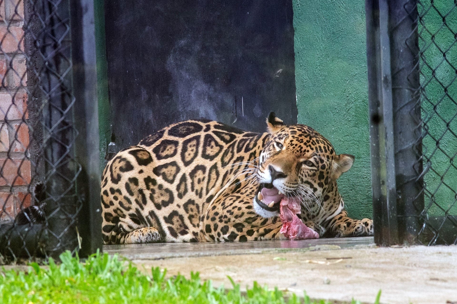 Qual o horário de funcionamento do Zoológico de Curitiba no fim de ano