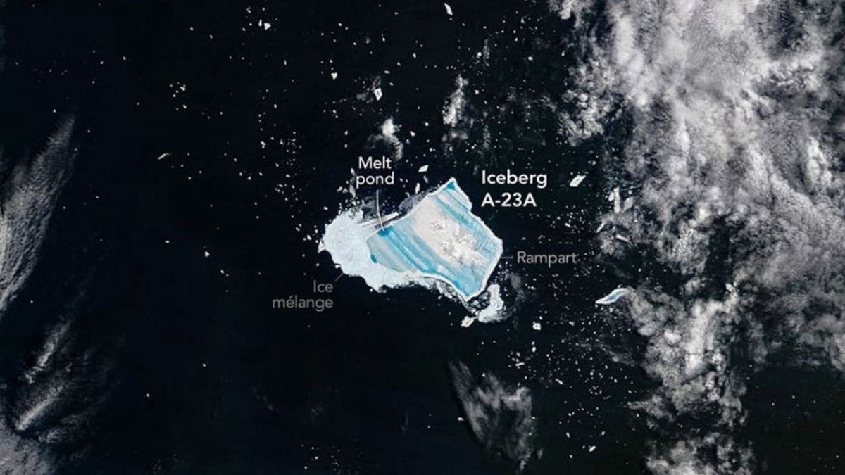 Iceberg gigante A23a entra em fase final e deve desaparecer
