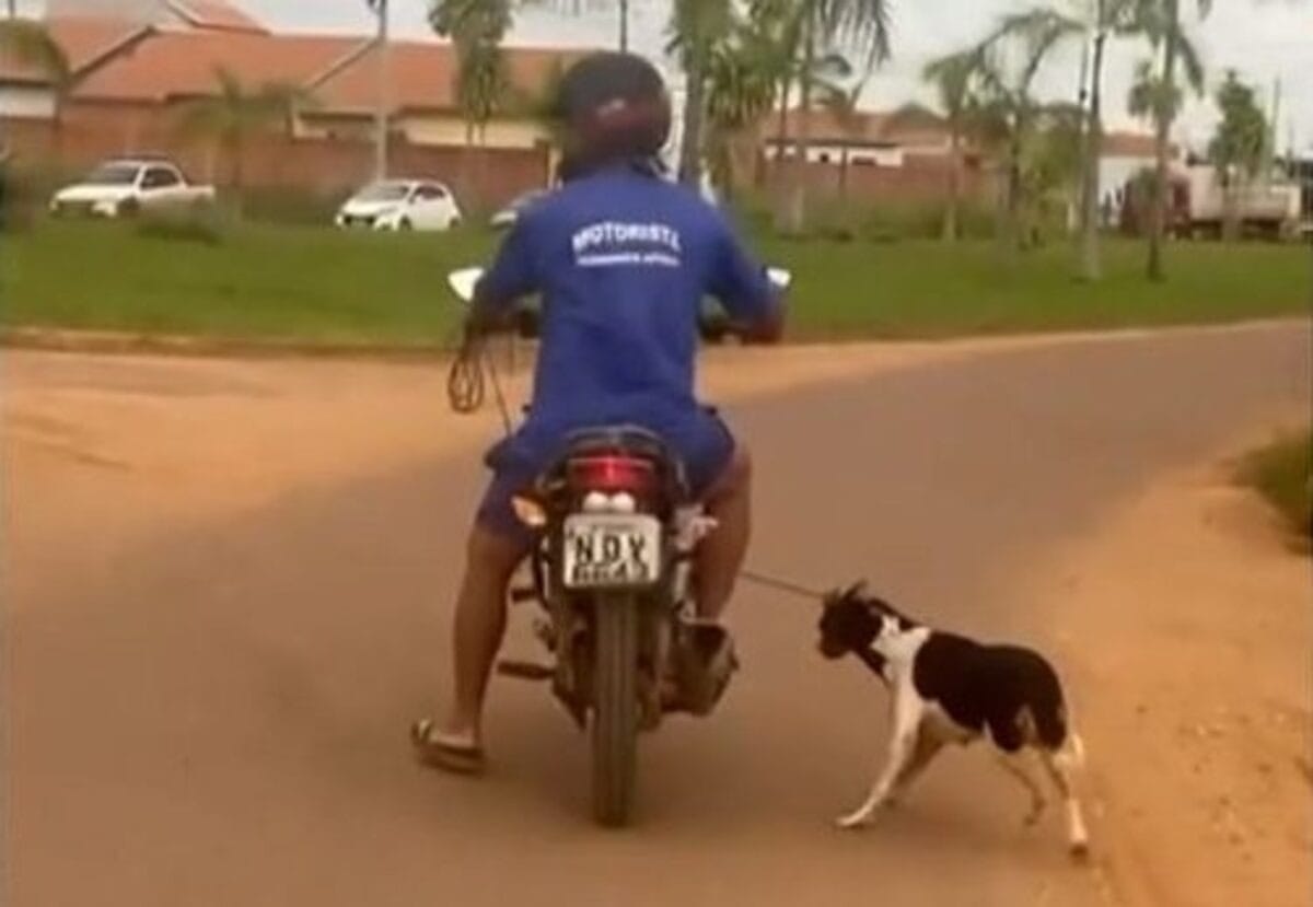 Homem é preso em Rondônia após arrastar cadela com câncer em motocicleta