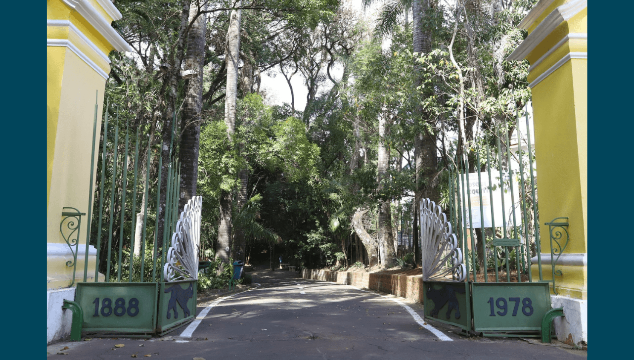 Prefeitura de Campinas reabre todos os parques e bosques nesta quarta (11)