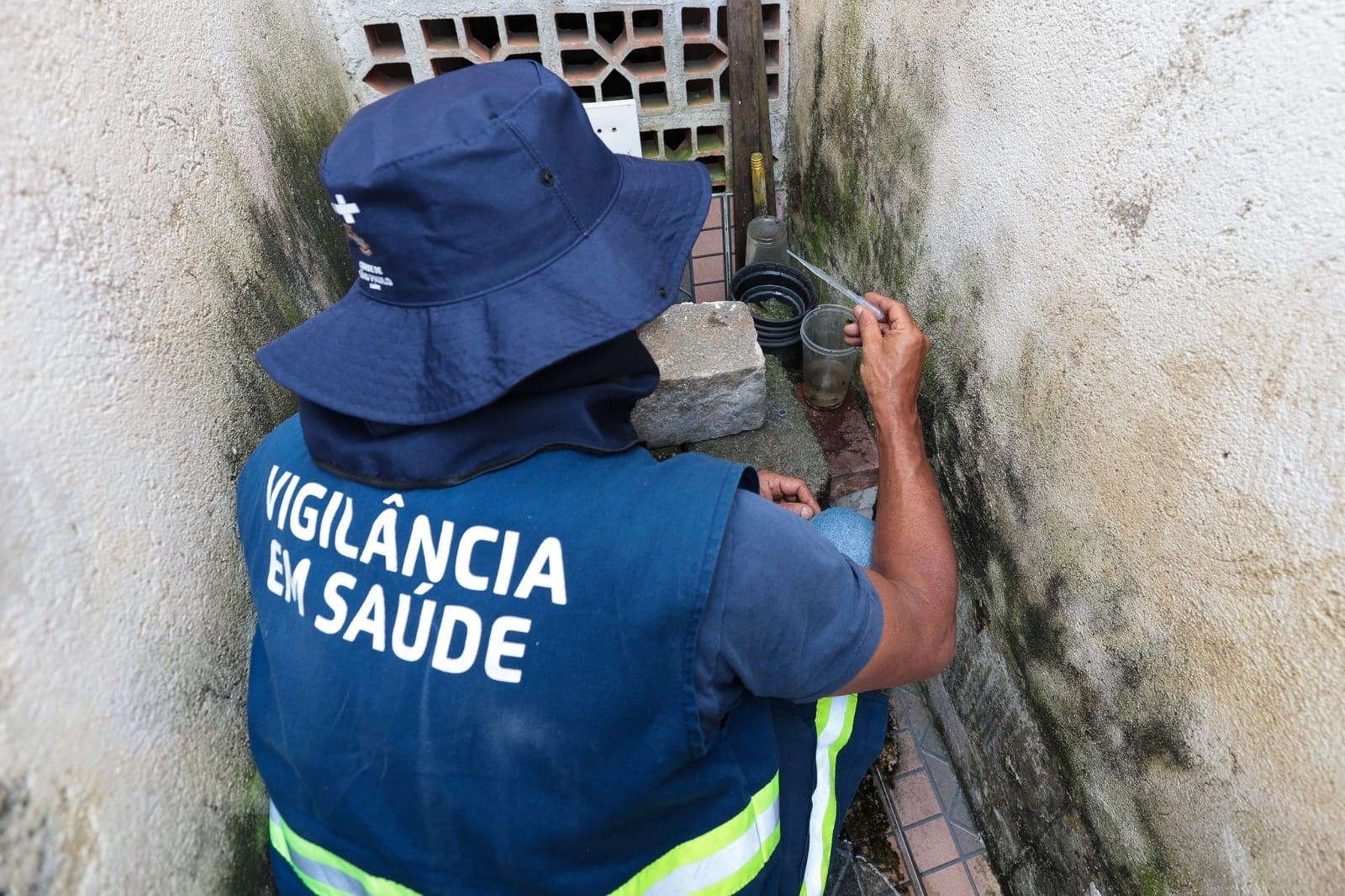 Casos de dengue caem 95,8% em SP no início de 2026